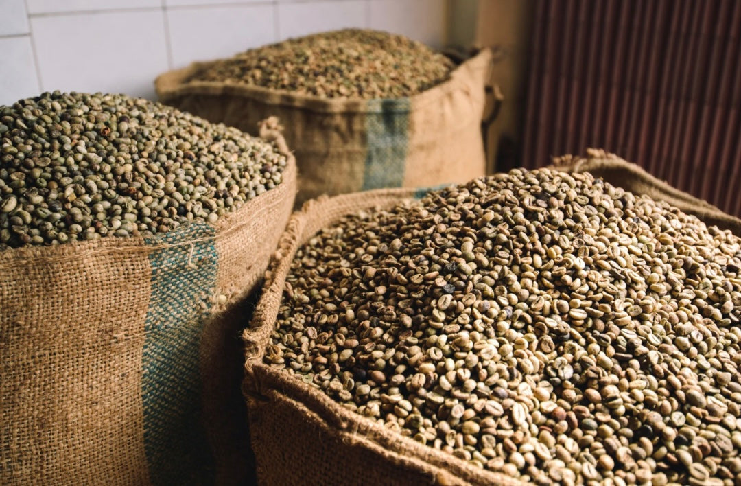 Understanding Arabica Coffee Processing: Washed, Natural, and Honey Ex ...